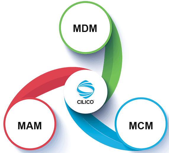 CİLİCO MDM